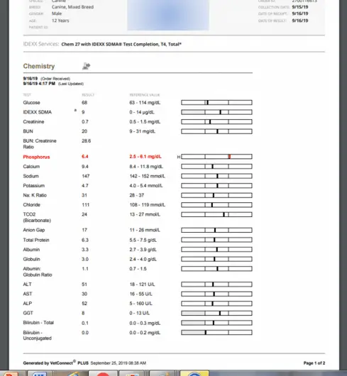 How Much Does a Complete Blood Panel Cost for Dogs: (Live Pictures)