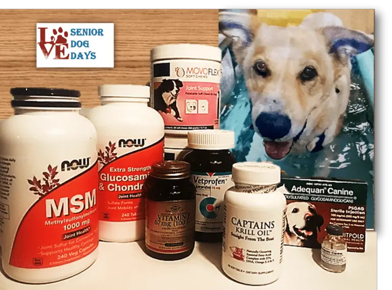 Arthritis Pain Relief for Dogs: What this Owner Uses (Pros & Cons) 9 ...